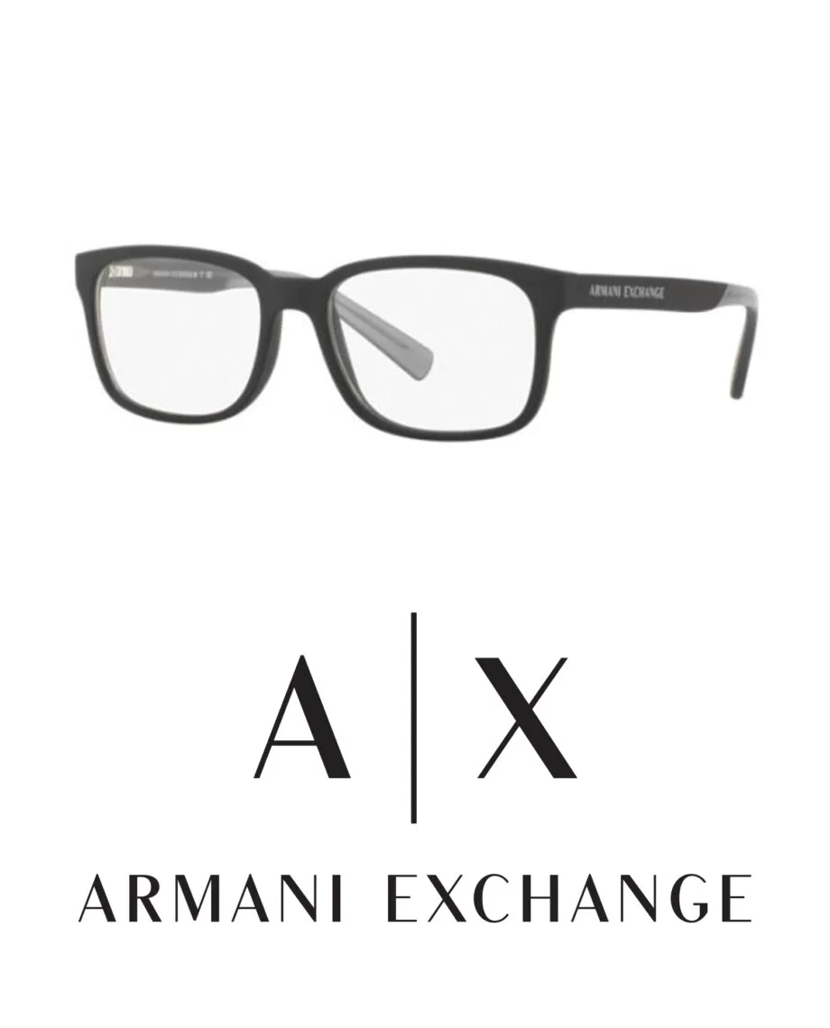 Armani Exchange 3029 8182
