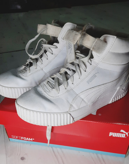 Puma CARINA