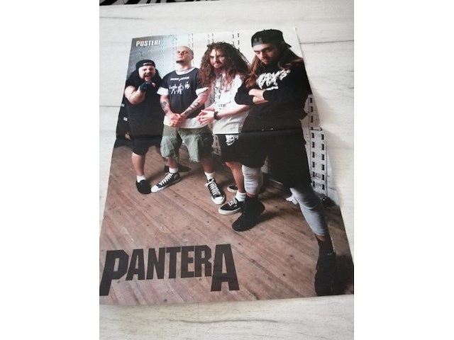 Poster(dvostrani) Pantera/Glee