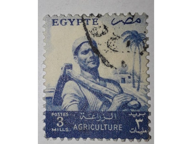 Egipat - zig.
