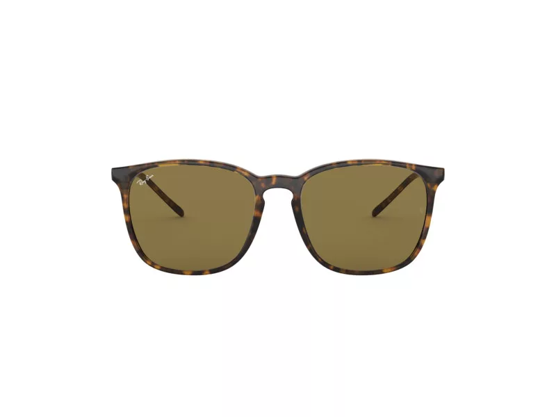 Ray-Ban Naočare za sunce RB 4387 710/73