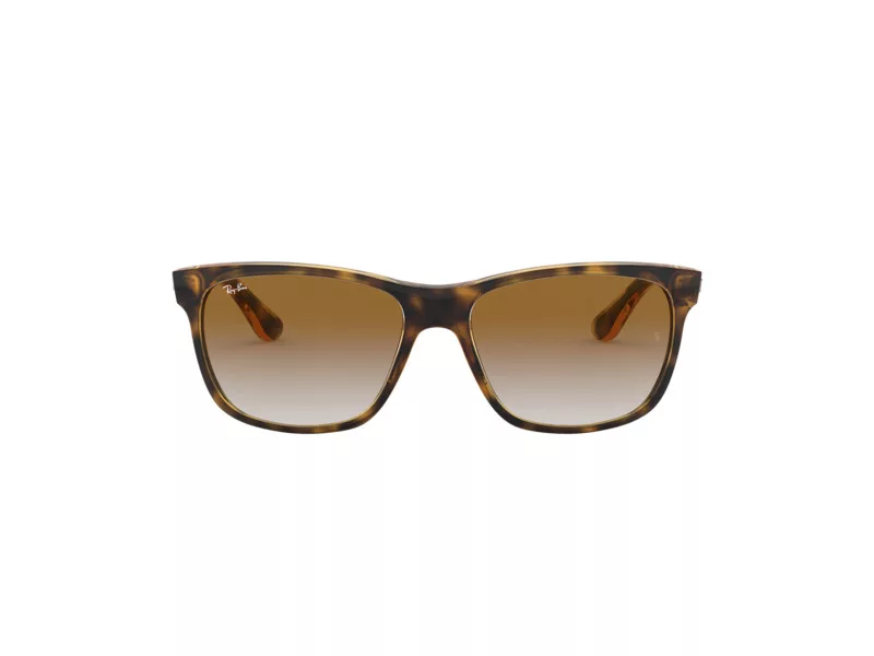 Ray-Ban Rb4181 Naočare za sunce RB 4181 710/51