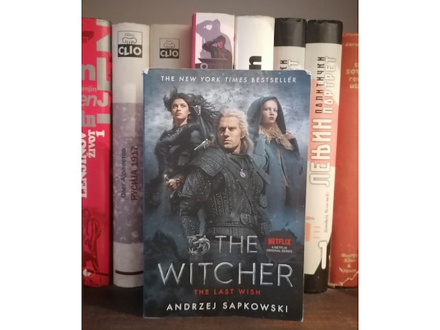 THE WITCHER Andrzej Sapkowski