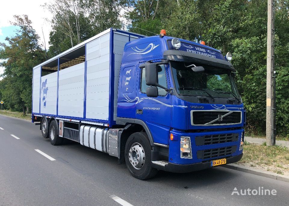 Volvo FM 440 DO BYDLA -ZYWCA kamion za prevoz stoke