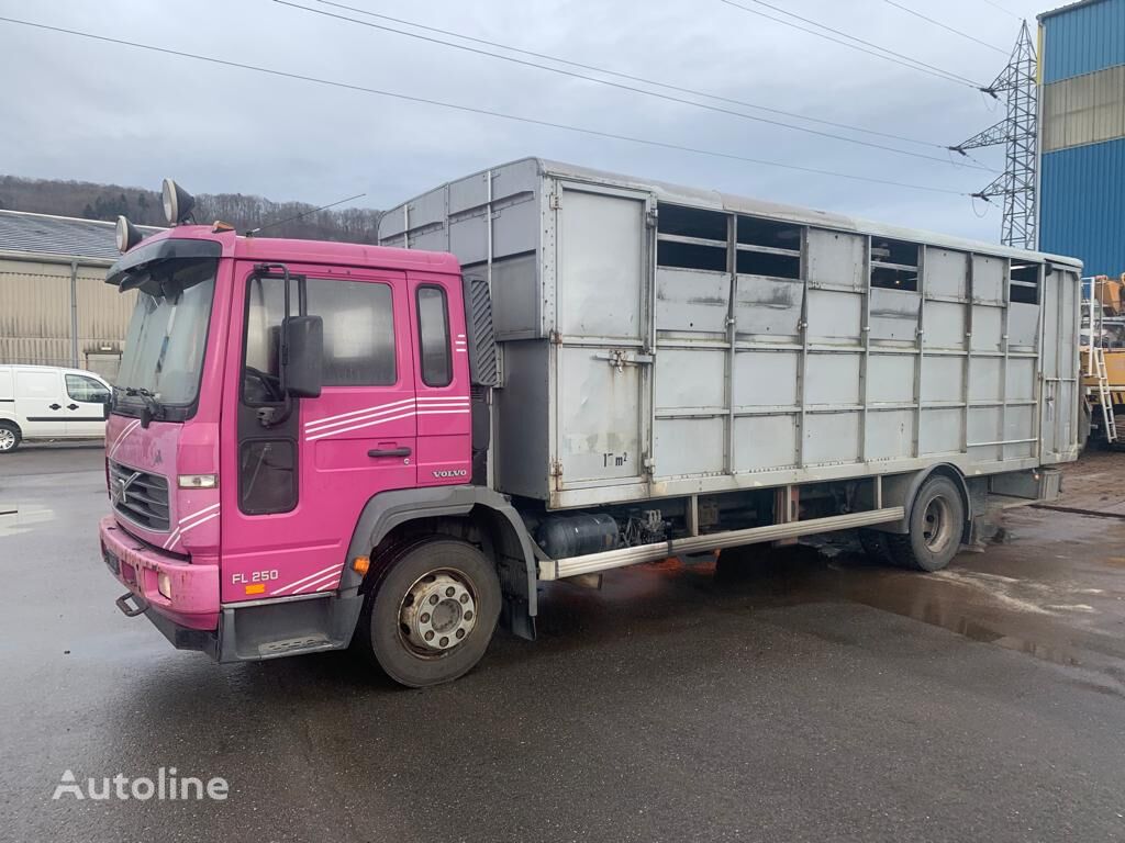 Volvo FL6-250 kamion za prevoz konja