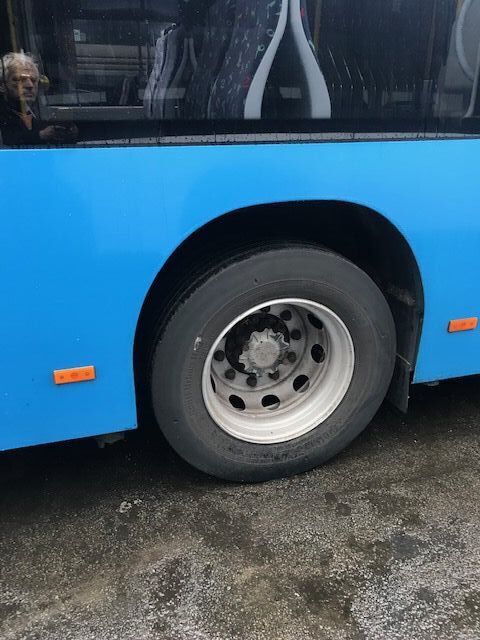 MAN Alle modellen zglobni autobus