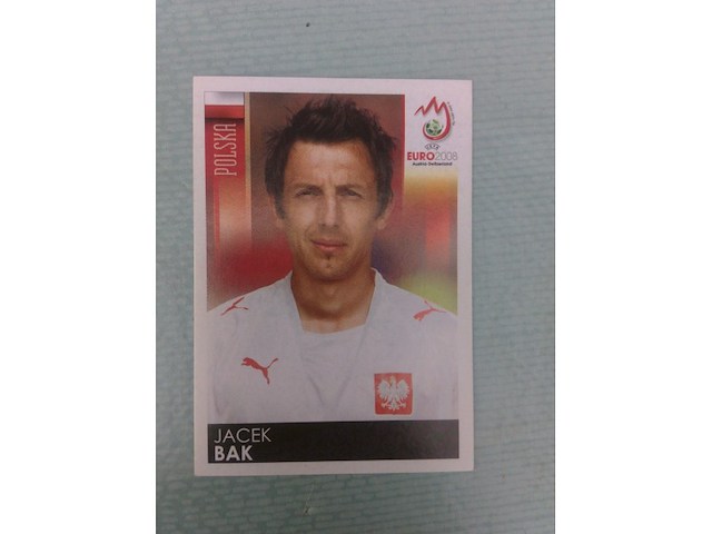 Panini EURO 2008 sličica broj 237