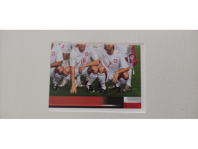 Panini EURO 2008 sličica broj 232