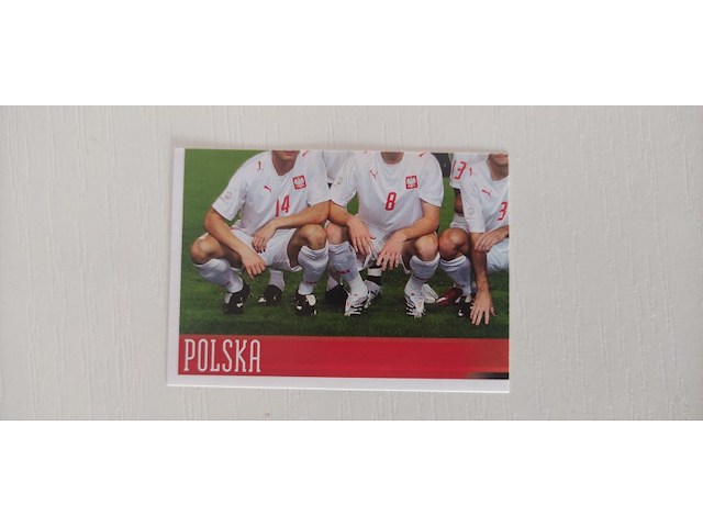 Panini EURO 2008 sličica broj 231