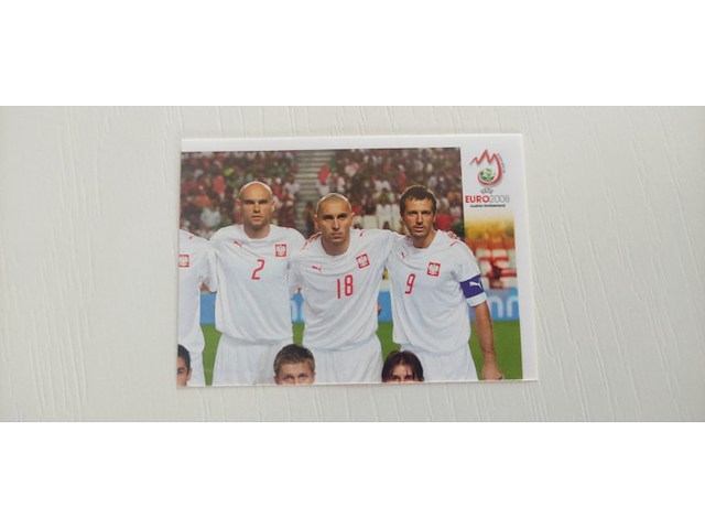 Panini EURO 2008 sličica broj 230