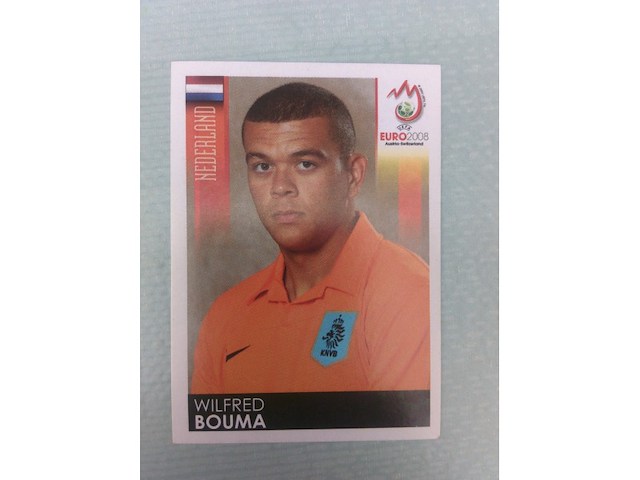 Panini EURO 2008 sličica broj 262