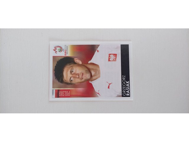 Panini EURO 2008 sličica broj 252