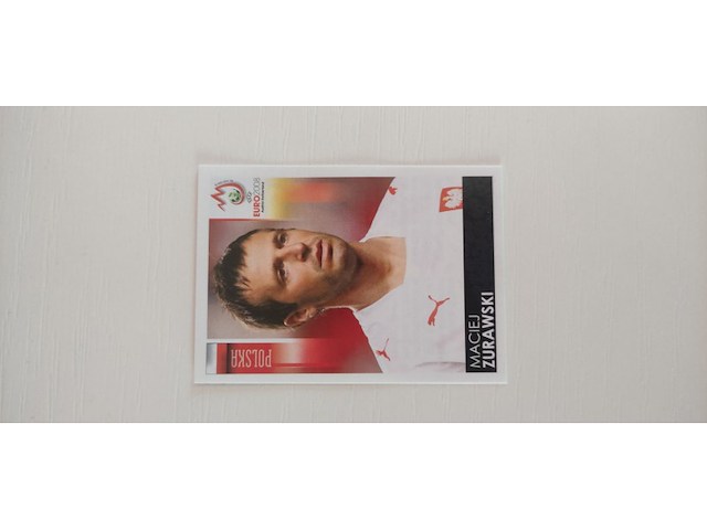 Panini EURO 2008 sličica broj 251