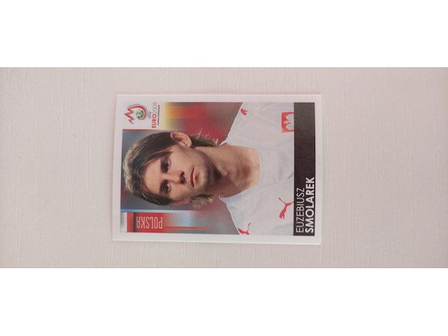 Panini EURO 2008 sličica broj 247