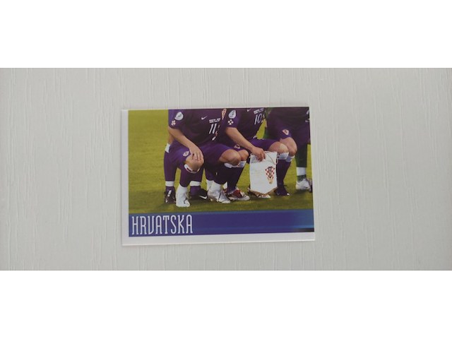 Panini EURO 2008 sličica broj 179