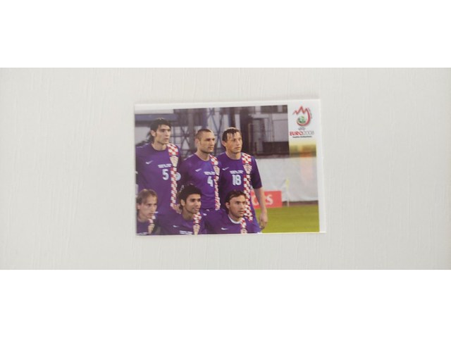 Panini EURO 2008 sličica broj 178