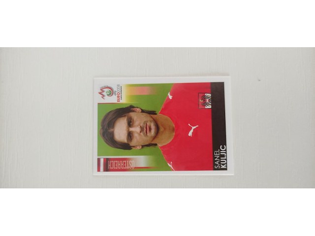 Panini EURO 2008 sličica broj 174