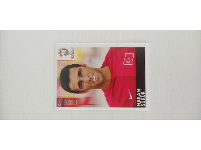 Panini EURO 2008 sličica broj 148