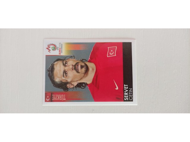 Panini EURO 2008 sličica broj 131