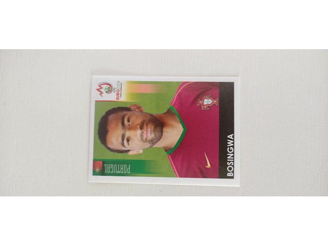 Panini EURO 2008 sličica broj 111