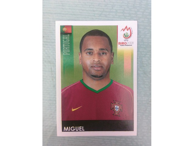 Panini EURO 2008 sličica broj 109