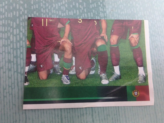 Panini EURO 2008 sličica broj 102