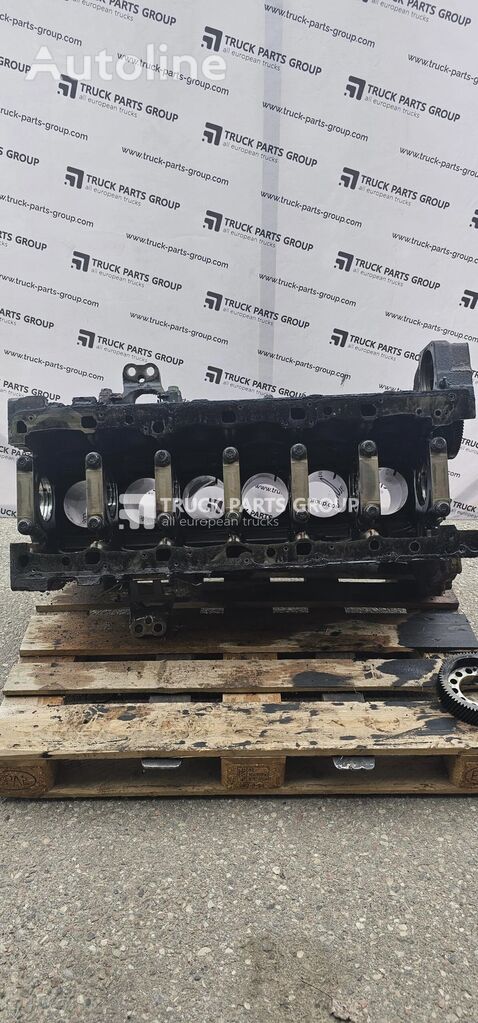 Mercedes-Benz Actros MP4, EURO 5, EURO 6 emission cylinder block, short block, blok cilindara za Mercedes-Benz Mercedes Benz Actros MP4, EURO 5, EURO 6 emission cylinder block, short block, 002010...