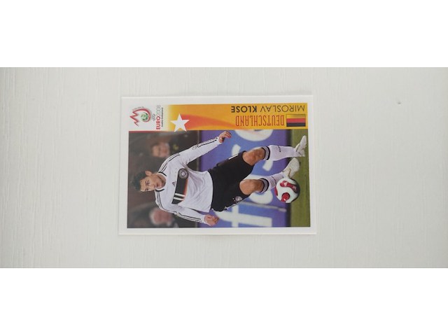 Panini EURO 2008 sličica broj 519