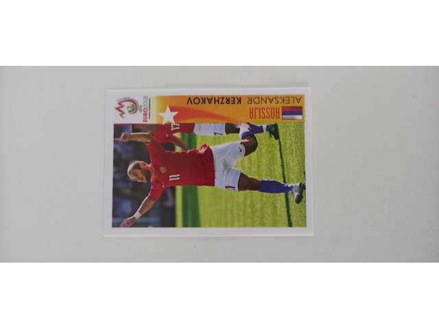 Panini EURO 2008 sličica broj 510