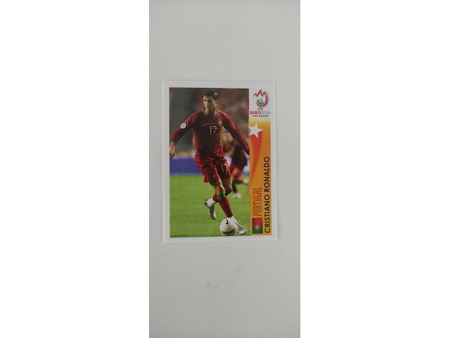 Panini EURO 2008 sličica broj 509