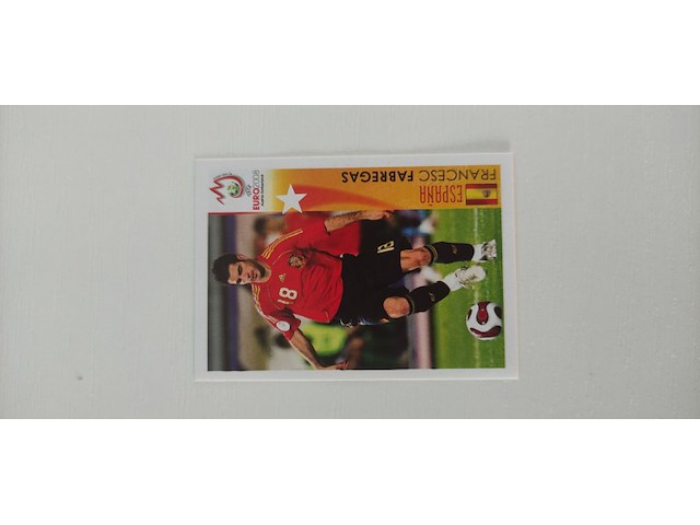 Panini EURO 2008 sličica broj 504