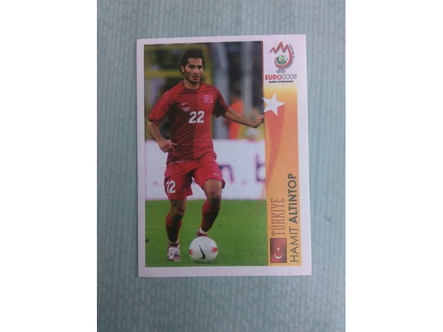 Panini EURO 2008 sličica broj 493