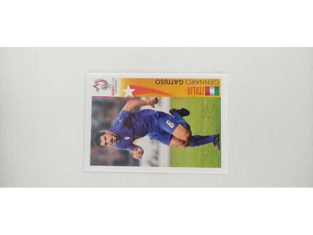 Panini EURO 2008 sličica broj 489