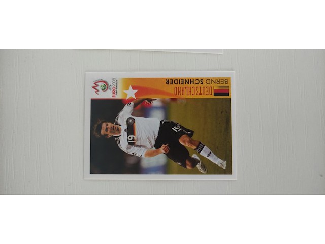 Panini EURO 2008 sličica broj 488