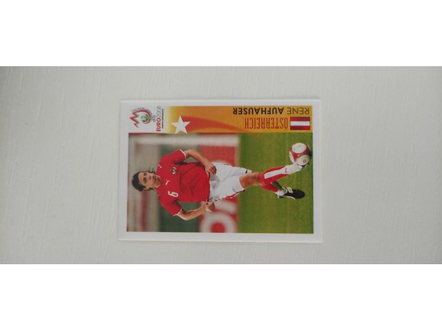 Panini EURO 2008 sličica broj 486