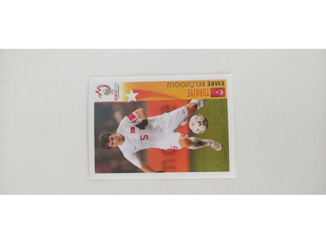 Panini EURO 2008 sličica broj 484