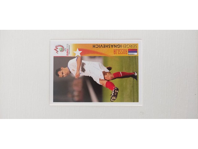 Panini EURO 2008 sličica broj 478