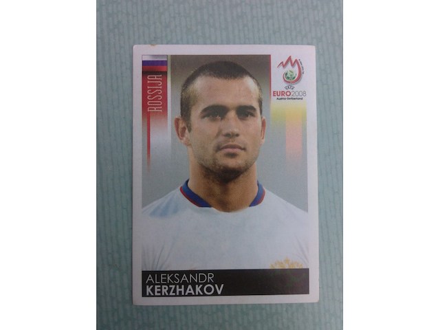 Panini EURO 2008 sličica broj 458