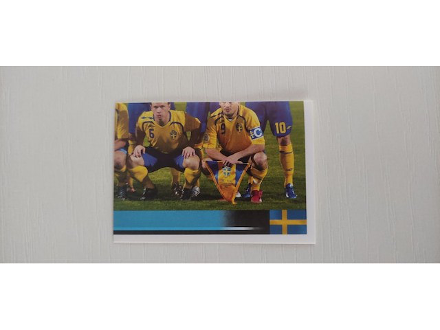 Panini EURO 2008 sličica broj 388