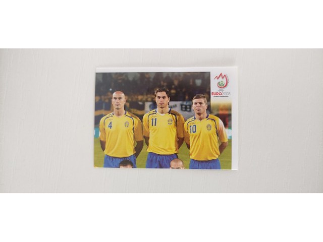 Panini EURO 2008 sličica broj 386