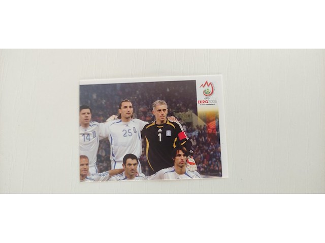 Panini EURO 2008 sličica broj 360