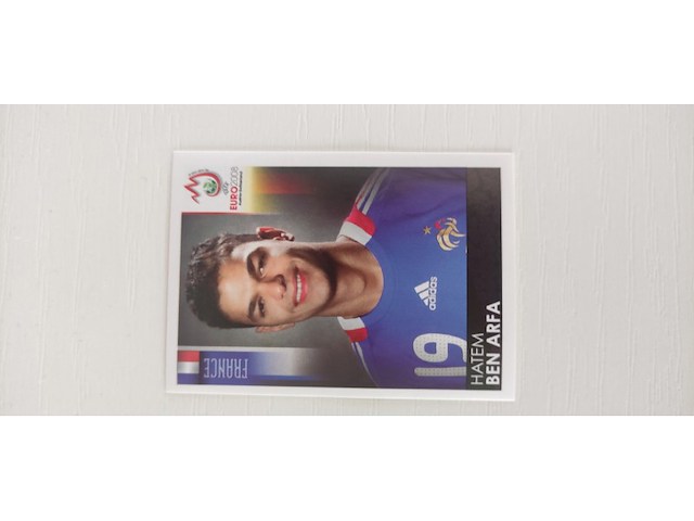 Panini EURO 2008 sličica broj 352