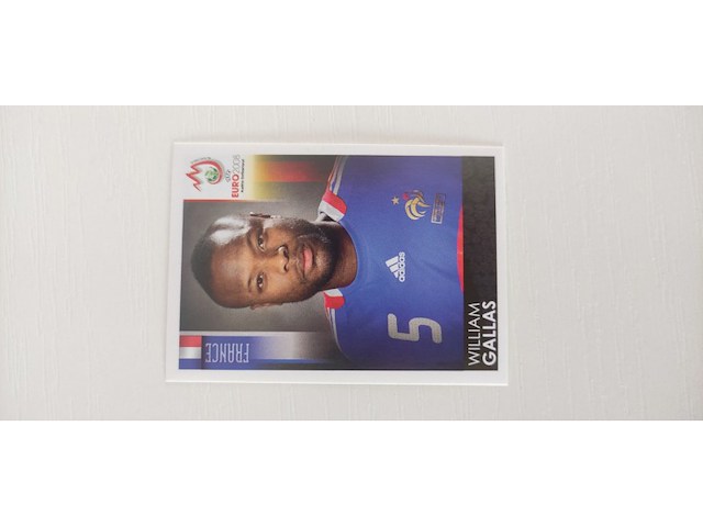 Panini EURO 2008 sličica broj 340