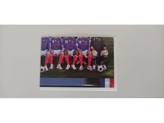 Panini EURO 2008 sličica broj 336