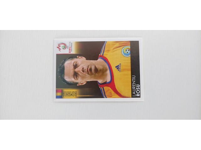 Panini EURO 2008 sličica broj 325