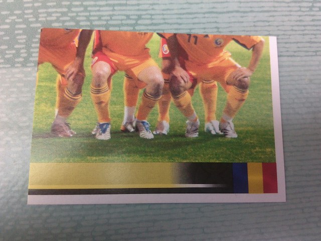 Panini EURO 2008 sličica broj 310