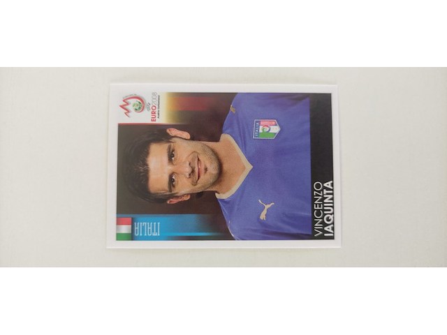 Panini EURO 2008 sličica broj 304