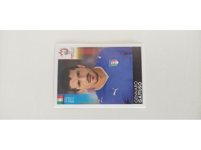 Panini EURO 2008 sličica broj 295