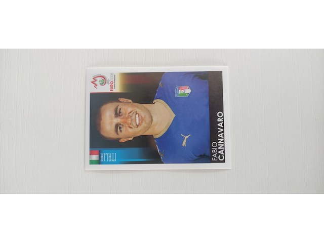 Panini EURO 2008 sličica broj 287