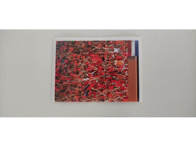 Panini EURO 2008 sličica broj 279